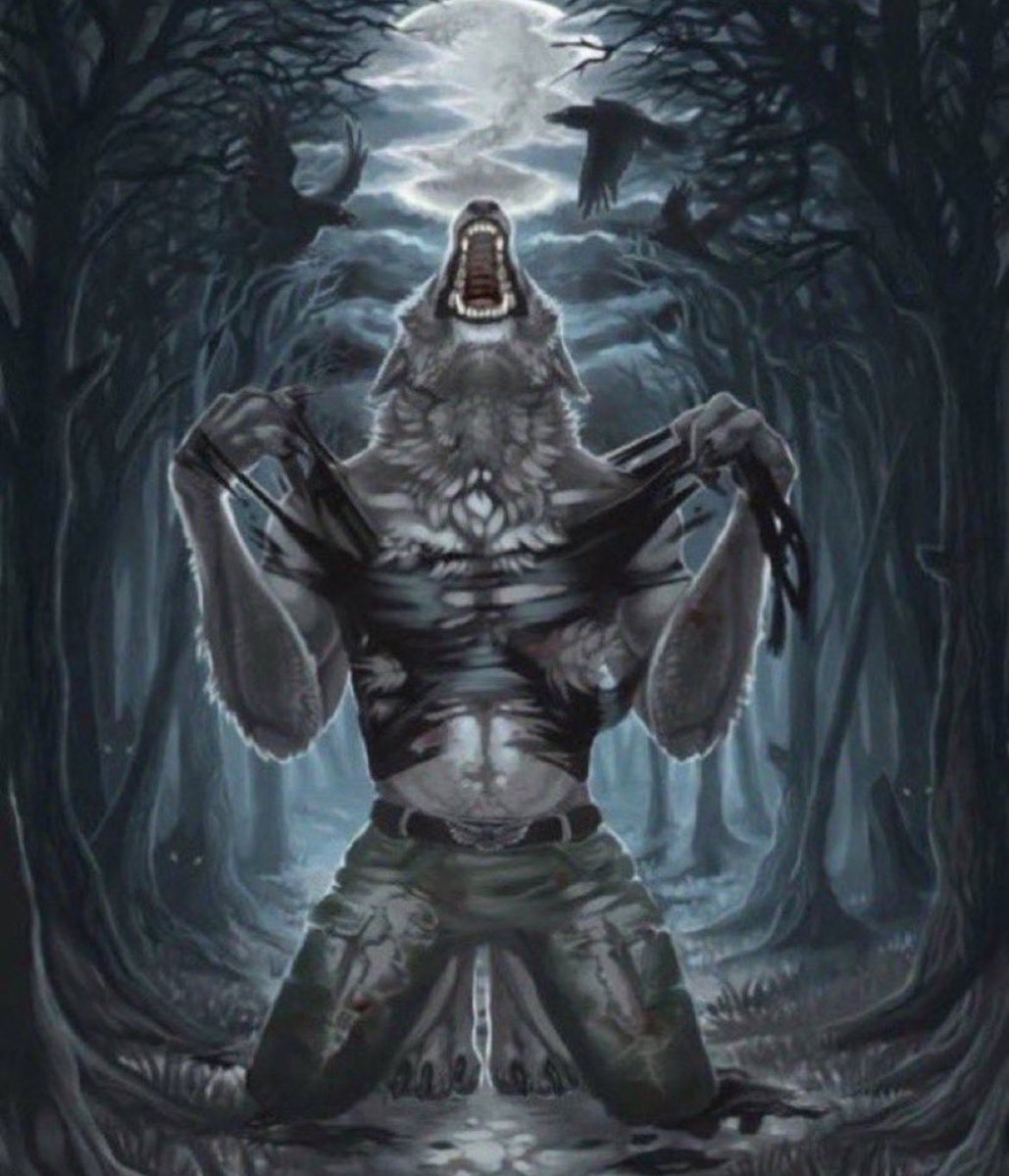 Werewolf Meme Generator Pi ata Farms The Best Meme Generator And 