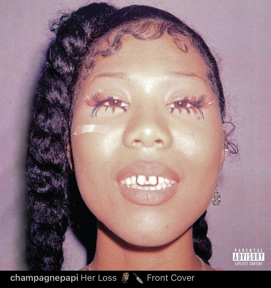Her Loss Album Cover Meme Generator Pi ata Farms The Best Meme 