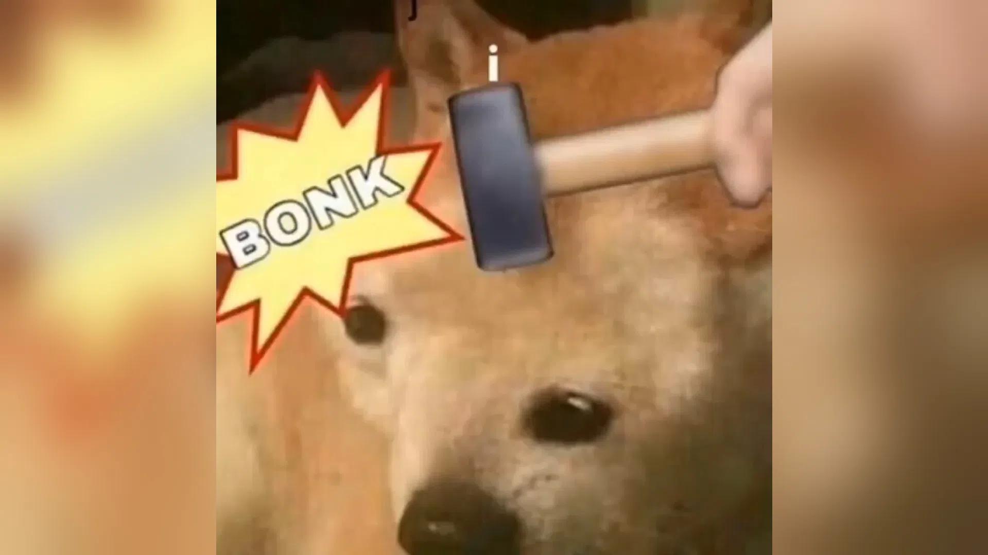 Bonk Cheems Meme Template Pi ata Farms The Best Meme Generator 