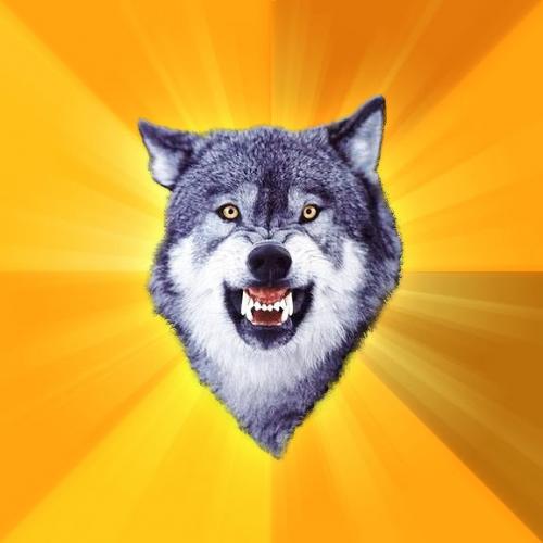 Courage Wolf Meme Generator Pi ata Farms The Best Meme Generator 