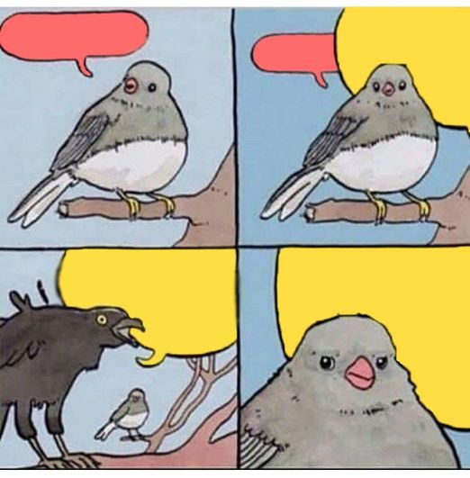 Annoyed Bird Meme Template Pi ata Farms The Best Meme Generator And 