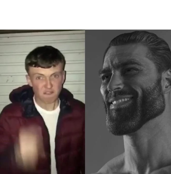 Average Fan Vs Average Enjoyer Meme Template Pi ata Farms The Best 